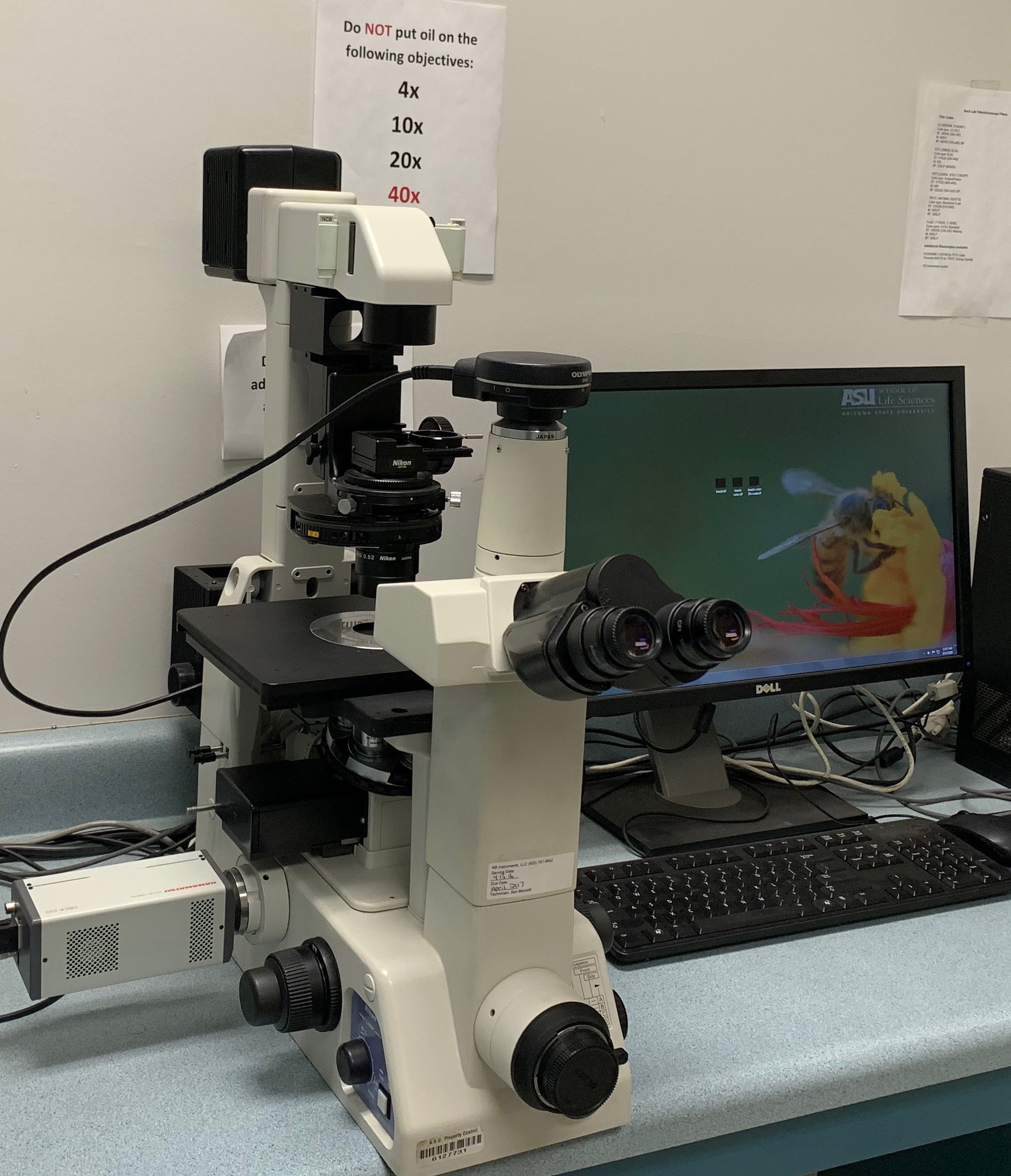 RMBF - Nikon Eclipse TE300 Inverted Microscope | Core Facilities